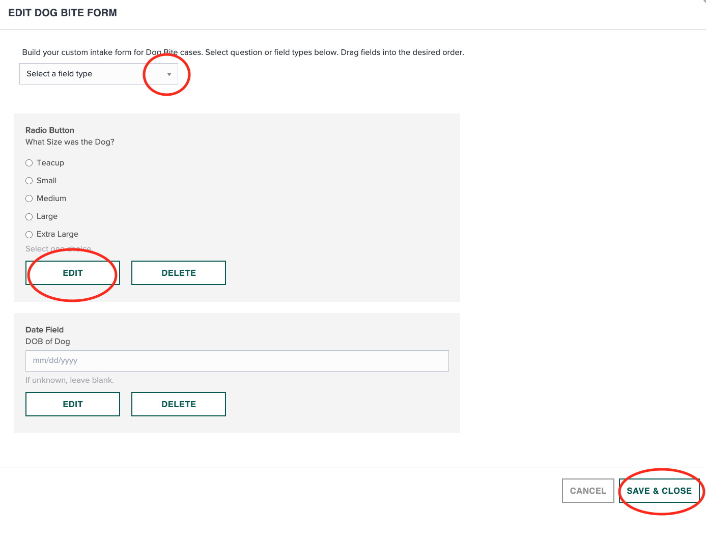 Edit Custom Intake Forms – CASEpeer